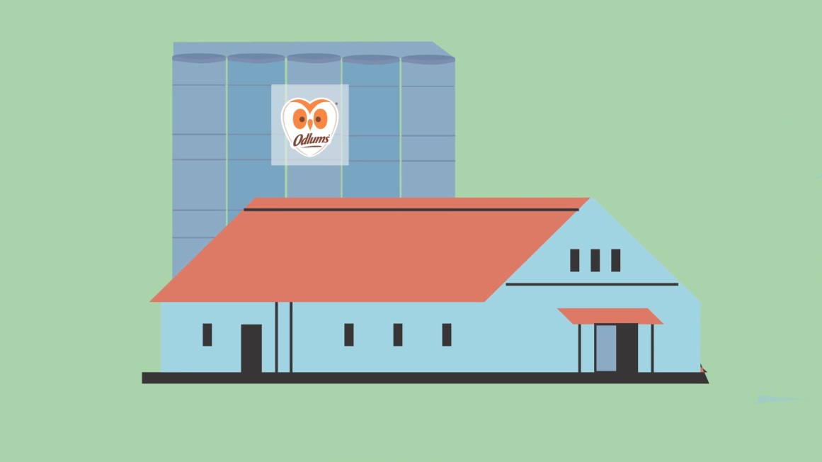 Odlums Flour Mill Case Study | BEAM Ireland
